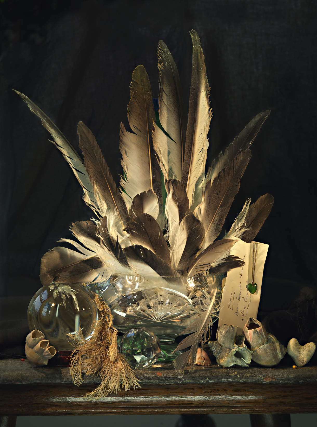 Fiona Pardington’s Still Life with Barley Grass and Freesia, Waiheke ...